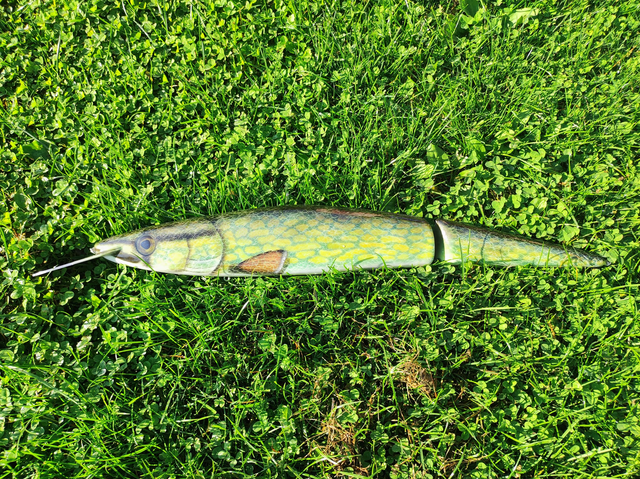 Pickerel 24in